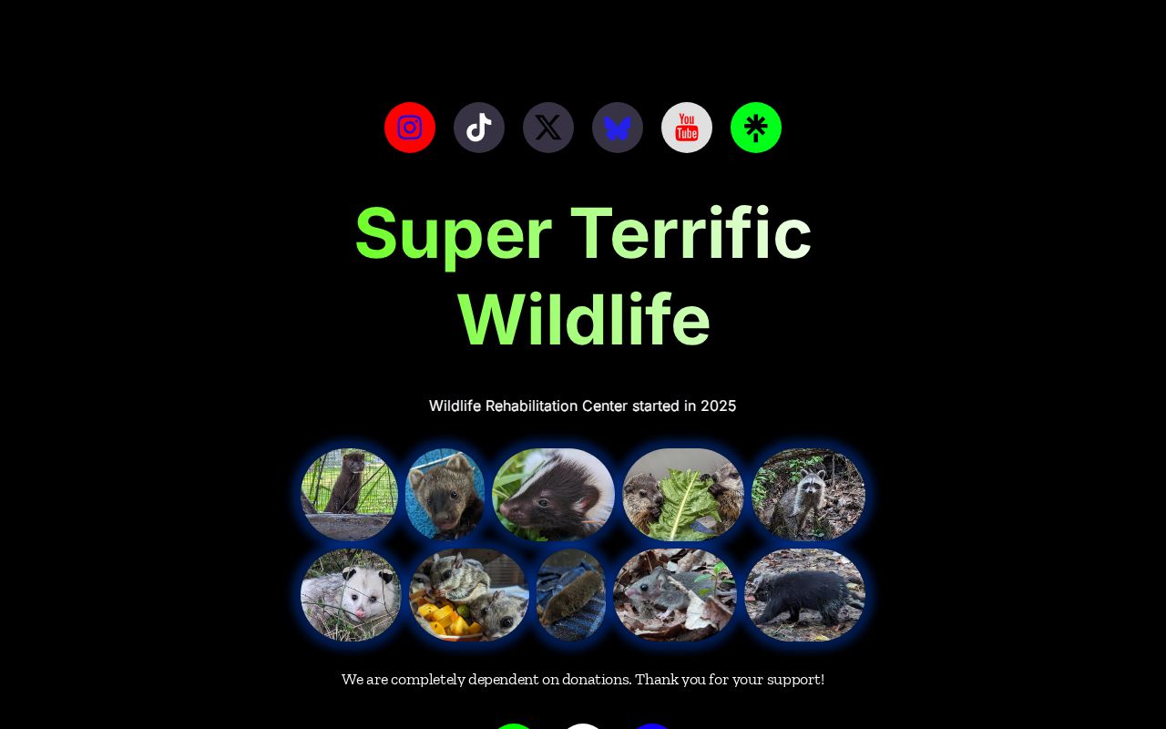 Super Terrific Wildlife